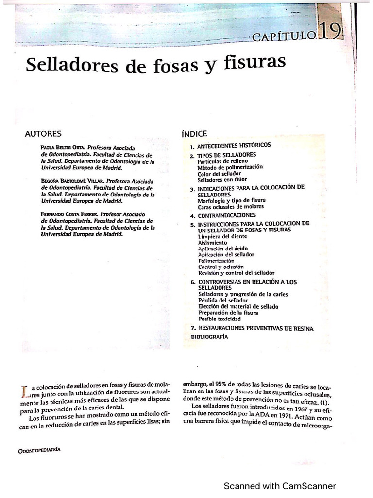 Boj. Selladores Cap 19 | PDF