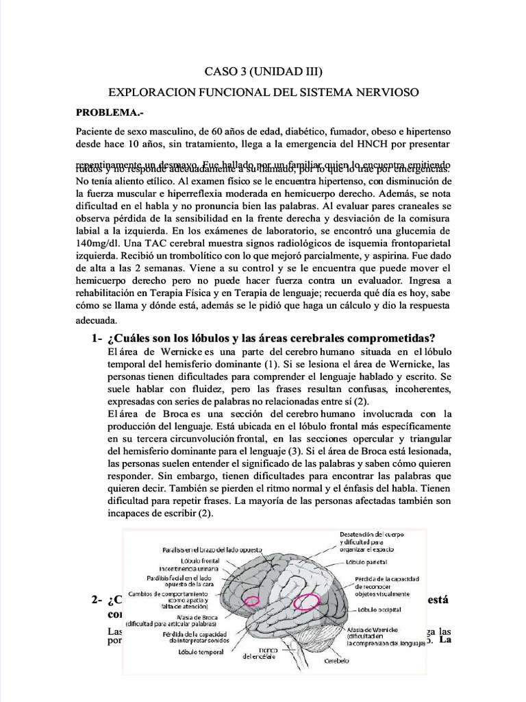 PDF Caso III Unidad III - Compress | PDF