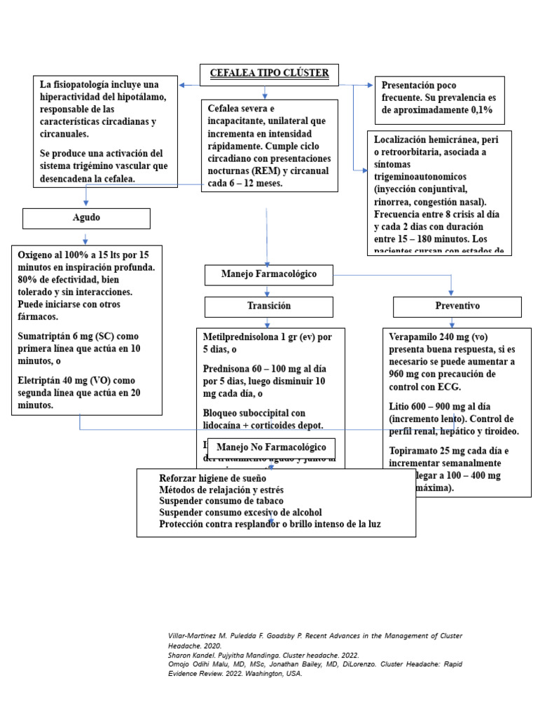 Manejo Cefalea Tipo Cluster | PDF | Enfermedades y trastornos ...