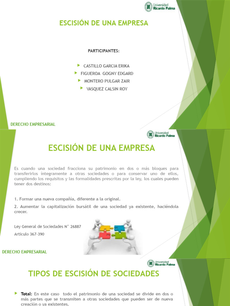 Escisión de Una Empresa-Derecho Expo | PDF | Derecho Corporativo | Hoja de balance
