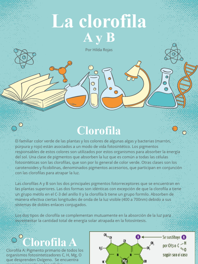 CLOROFILA | Descargar gratis PDF | Clorofila | Fotosíntesis
