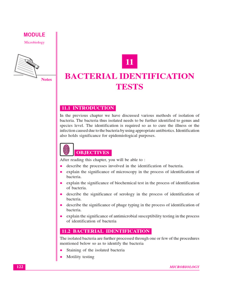 Bacterial Identification Tests | PDF | Bacteria | Staphylococcus