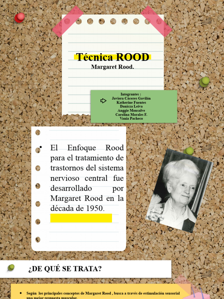 Técnica ROOD: Estimulación Sensorial en Terapia | PDF | Sentidos | Músculo