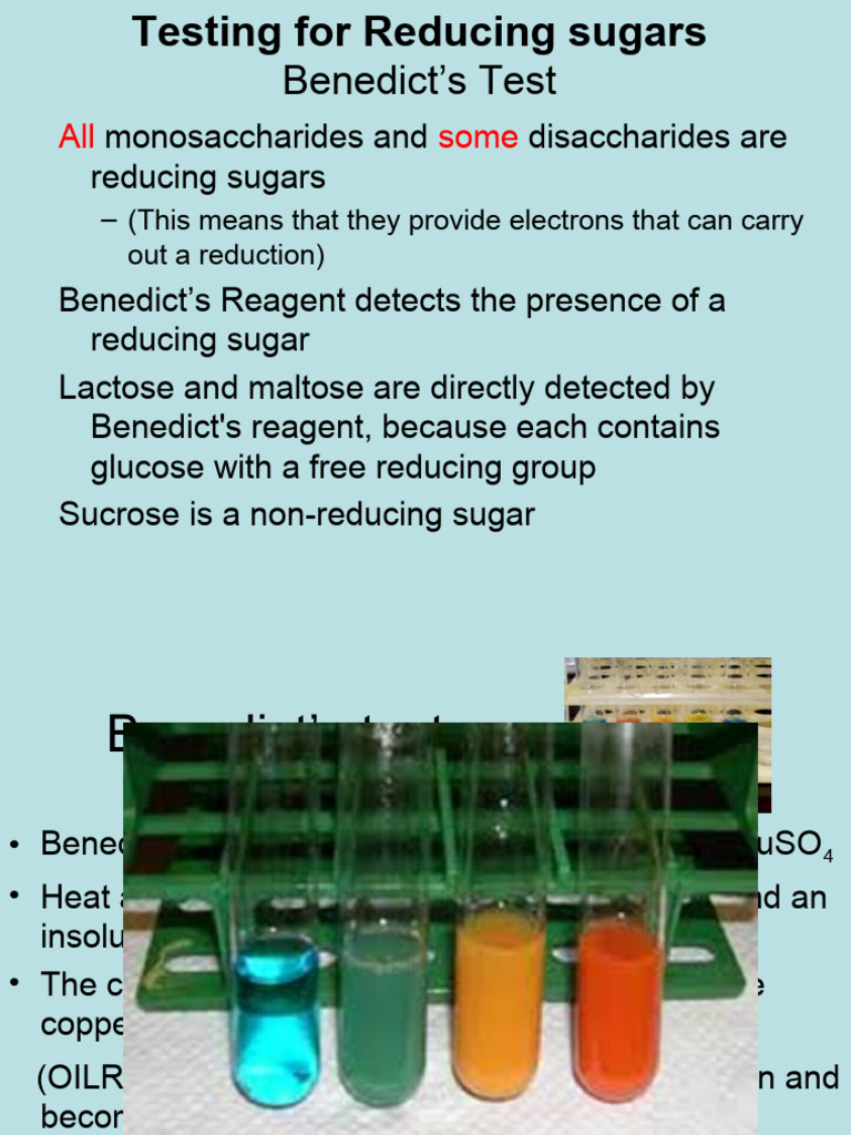 Benedict's Test Theory and Practical SM | PDF | Chemical Substances ...