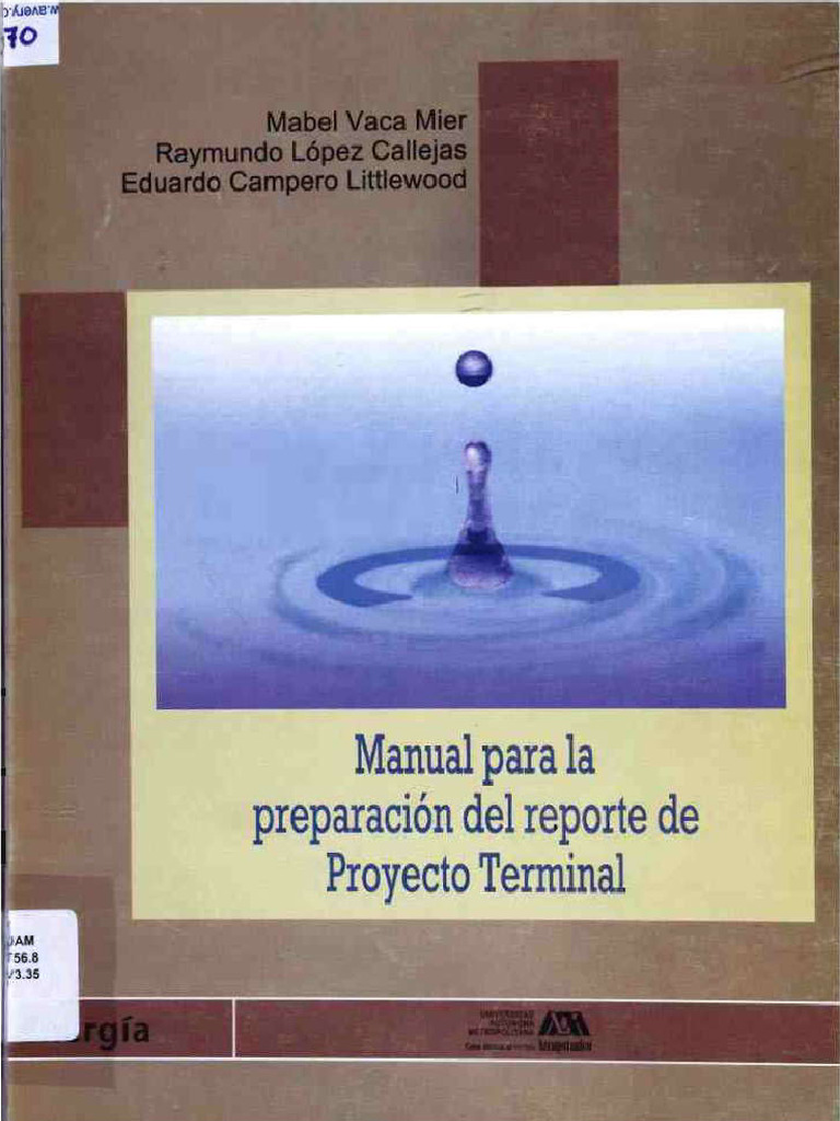 Manual para La Preparación Del Reporte de Proyecto Terminal - 034459 | PDF