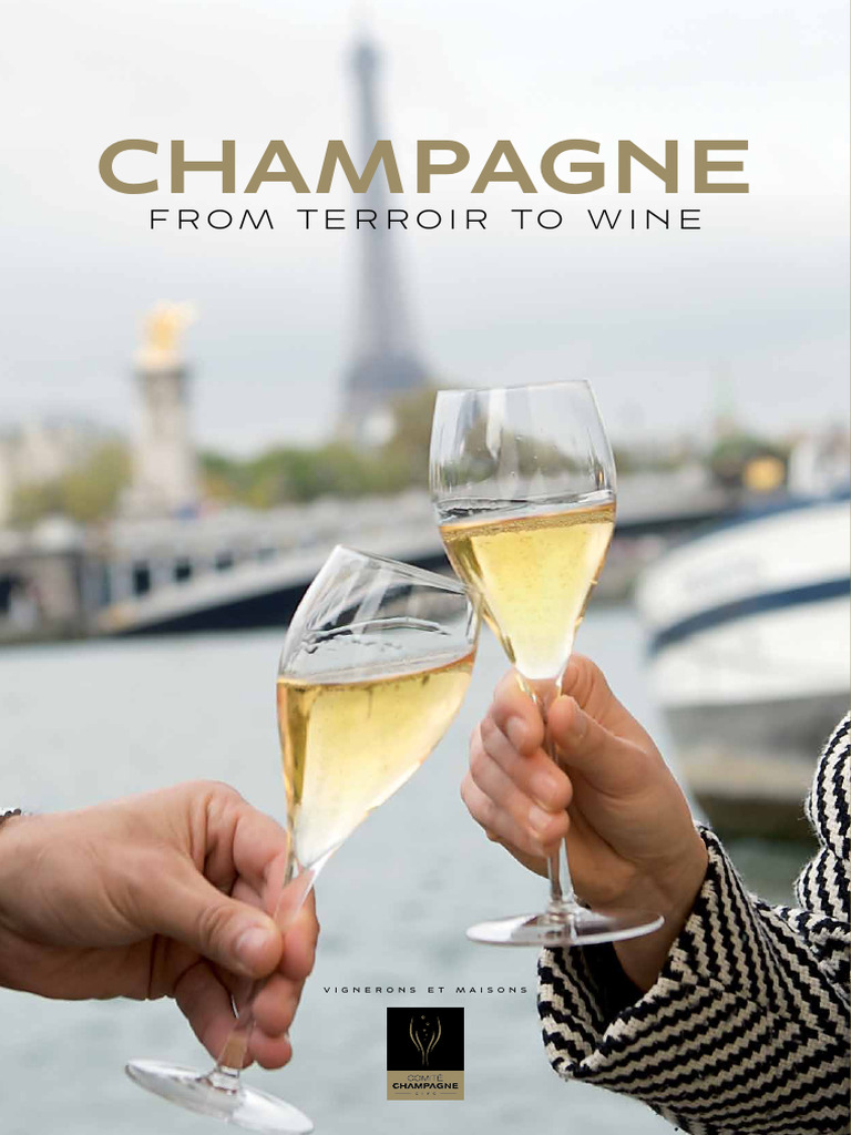 All About Champagne | PDF | Wine | Grape