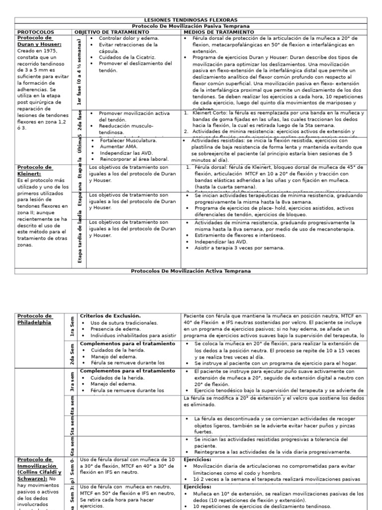 Protocolos de Lesiones Tendinosas Flexoras | PDF | Tendón | Sistema musculoesquelético