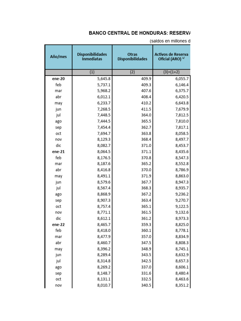 Reservas Monetarias Internacionales | PDF | Macroeconómica | Sector privado