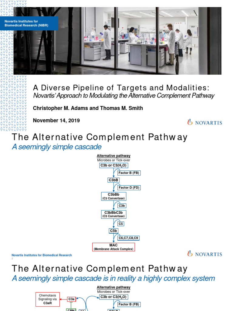 LNP023: Novel Factor B Inhibitor Insights | PDF | Complement System ...