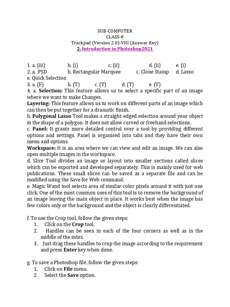 Computer Unit 2 Solution | PDF | Adobe Photoshop | Computer Graphics