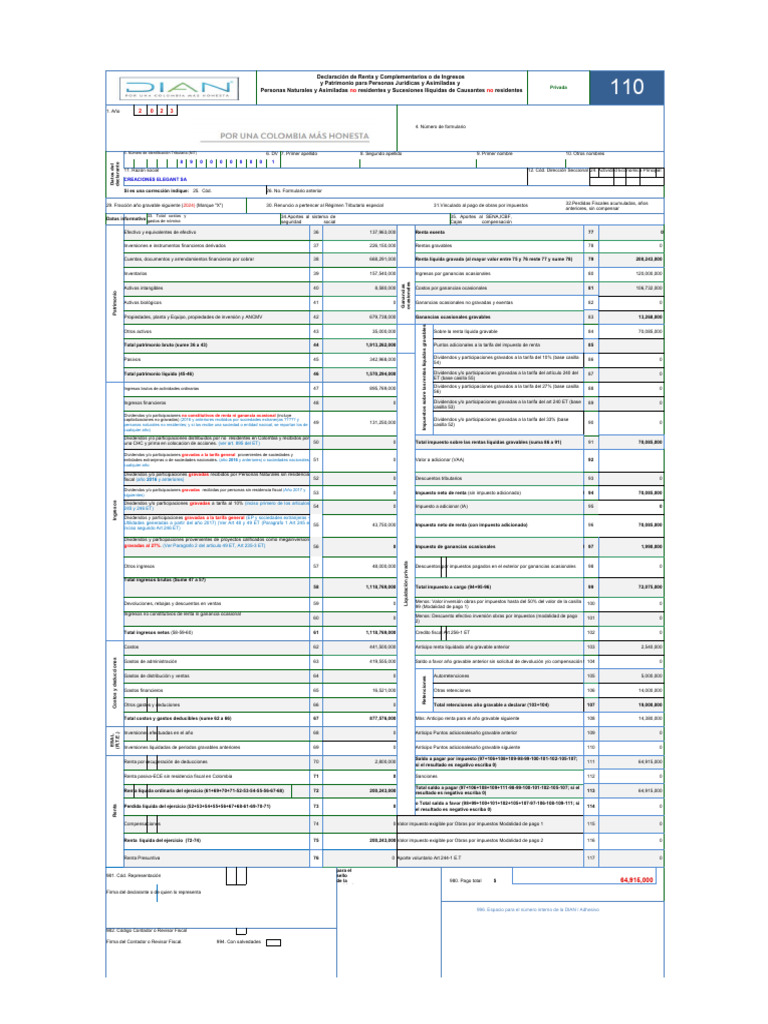 2024 03 18 Formulario 110 Renta PJ AG 2023 Blanco | PDF | Impuestos ...