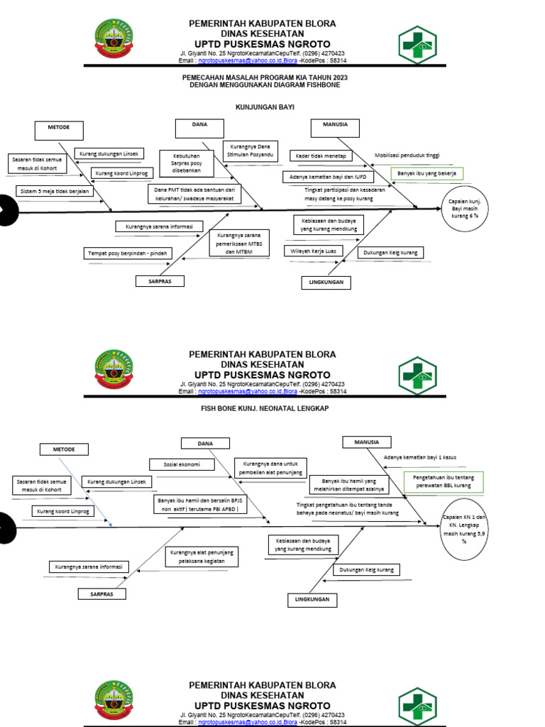 Fishbone Kia 2023 | PDF