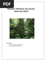 El Impacto Ambiental en El Bosque de La Colina Baja | PDF | Los bosques ...