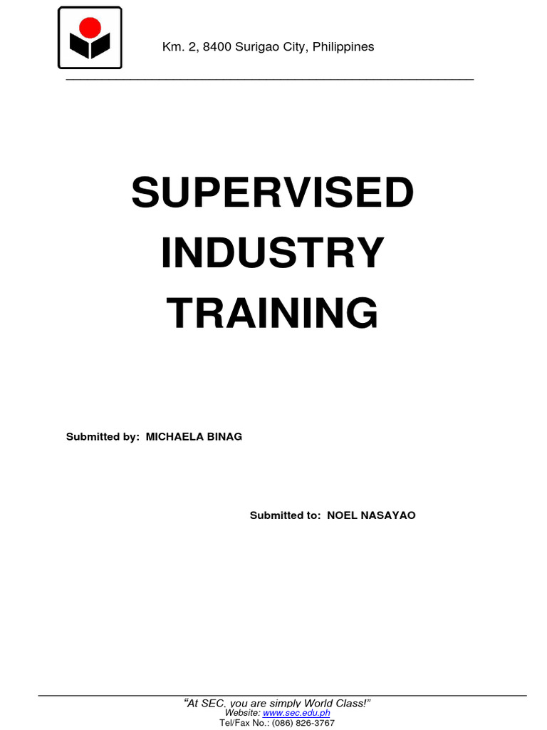 Sit-Report Mchaela 2 | PDF