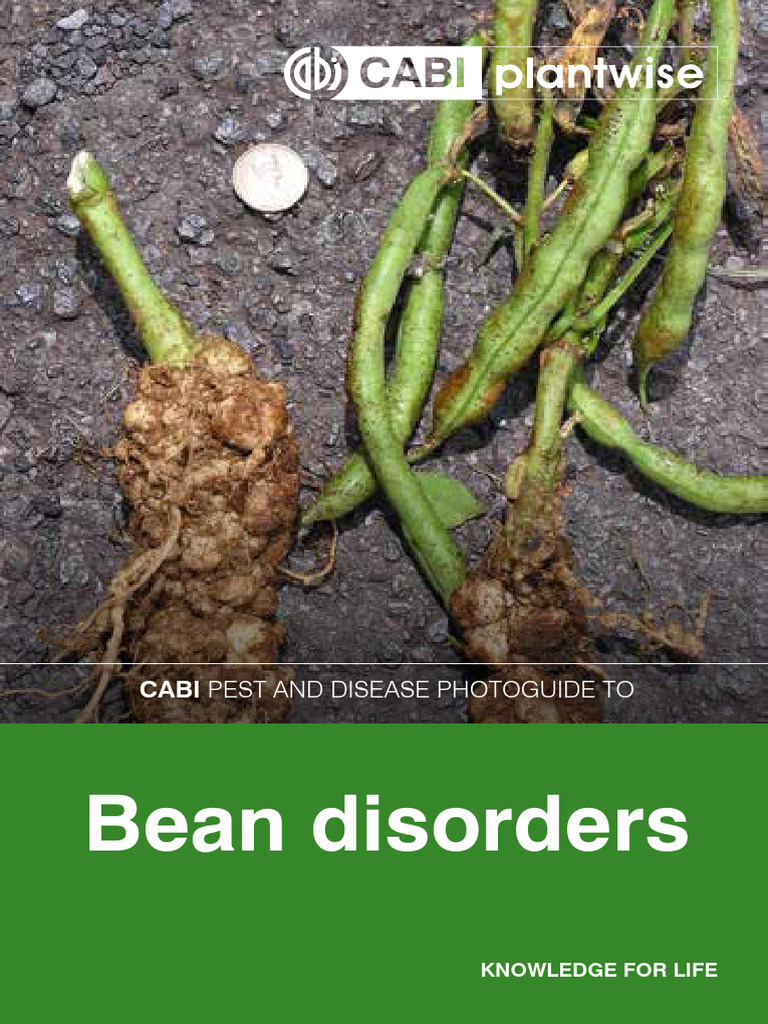 2018 Pest and Disease Photoguide To Bean Disorders | PDF | Branches Of ...