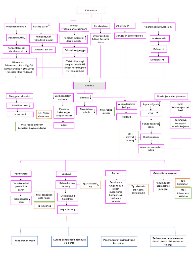 Patoflow Post Partum Dengan Anemia Maria | PDF