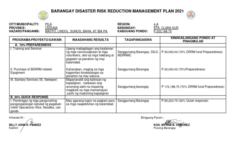 SCS BDRRMC Plan 2021 | PDF