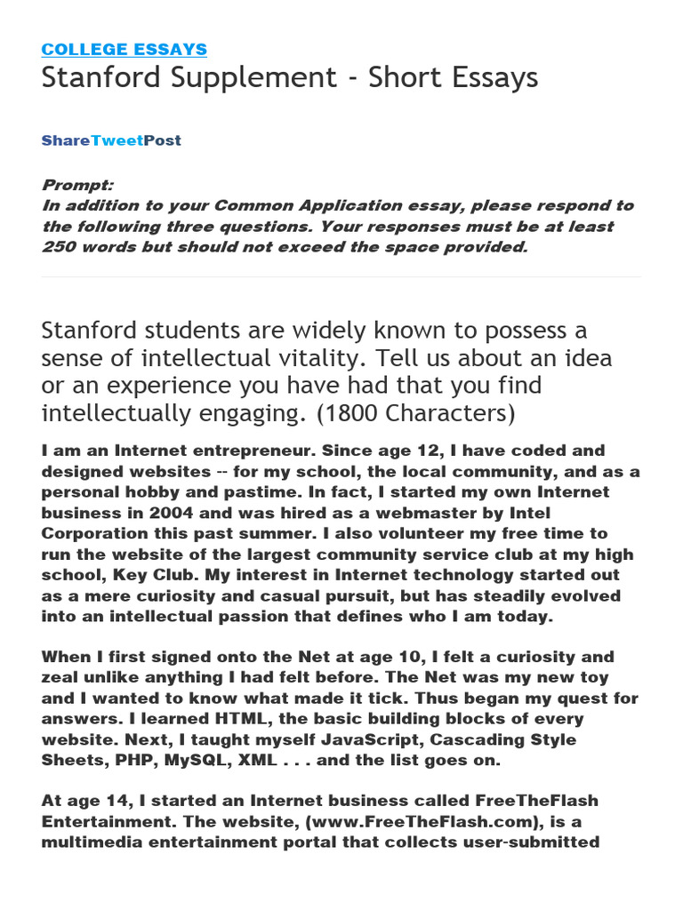 COLLEGE ESSAYS Examples | PDF | Internet