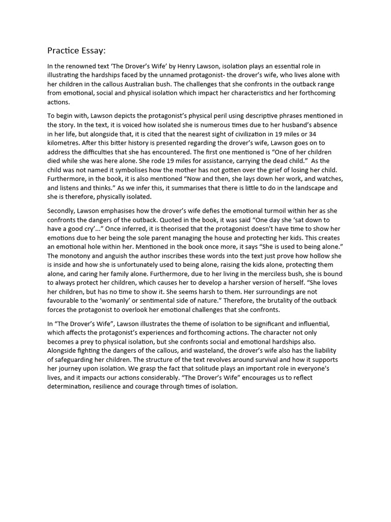 Practice Essay | PDF