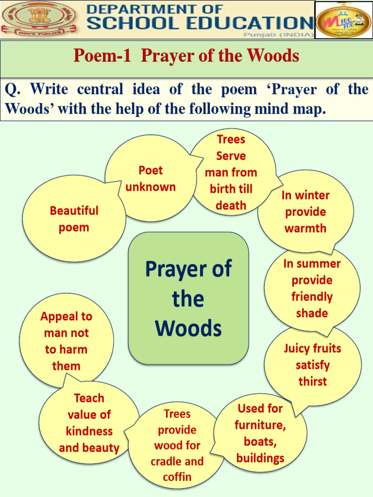 10+2 - Section B - Mind Maps | PDF