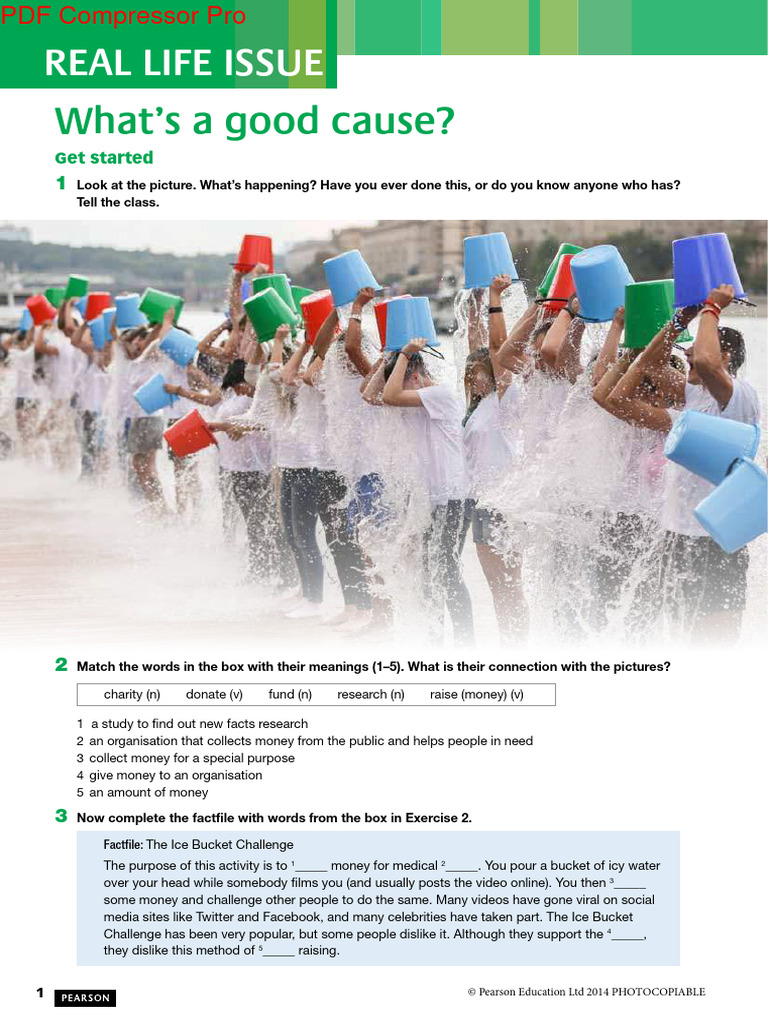 Lesson Plan Whats A Good Cause | PDF | Career & Growth | Social Science