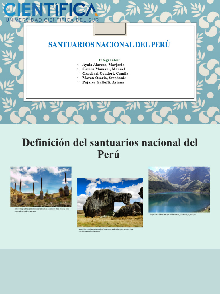 Santuarios Nacional Del Perú1 FINAL | PDF | Mangle | Ciencias de la Tierra