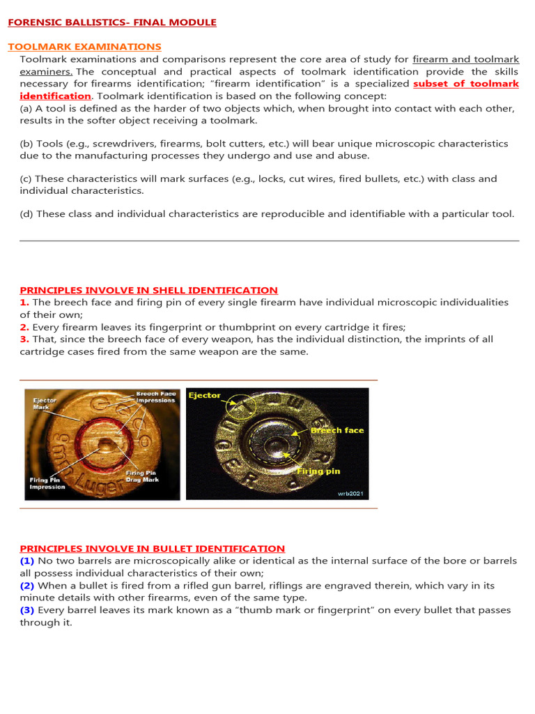 Forensic Ballistics: Toolmark & Bullet ID | PDF | Gun Barrel | Firearms