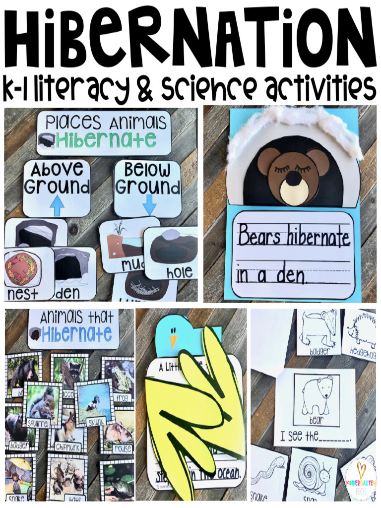 01 - Hibernation, Migration and Adaptation Science and Literacy Centers | PDF | Reindeer | Bears