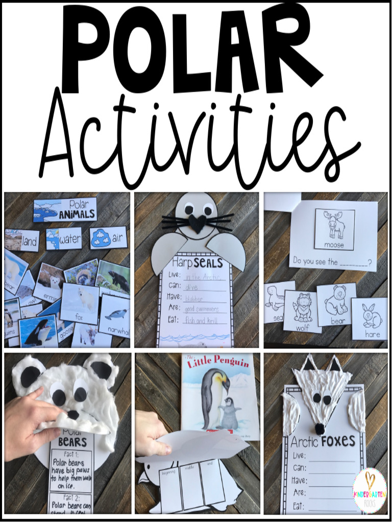 04 - Polar Animal Activities (Arctic Animals) 20+ Sorting, Writing ...