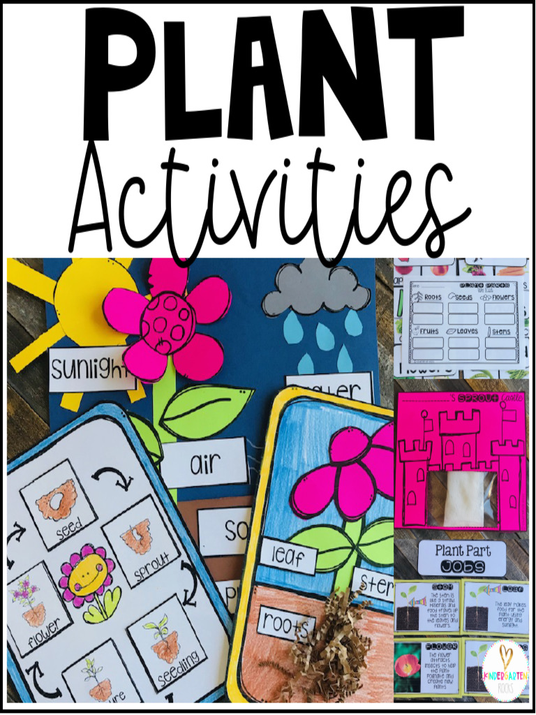 02 - Plant Activities - All About Plants - Life Cycle of A Plant ...