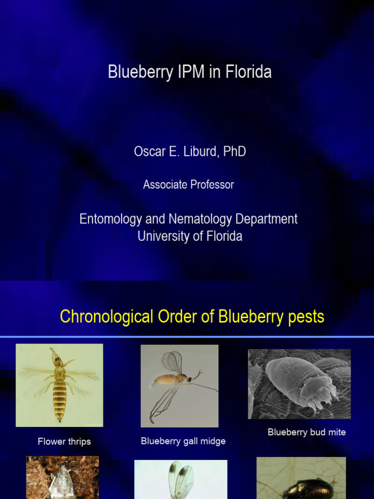 FBGA Presentation Trinkle Center | PDF | Blueberry | Insects