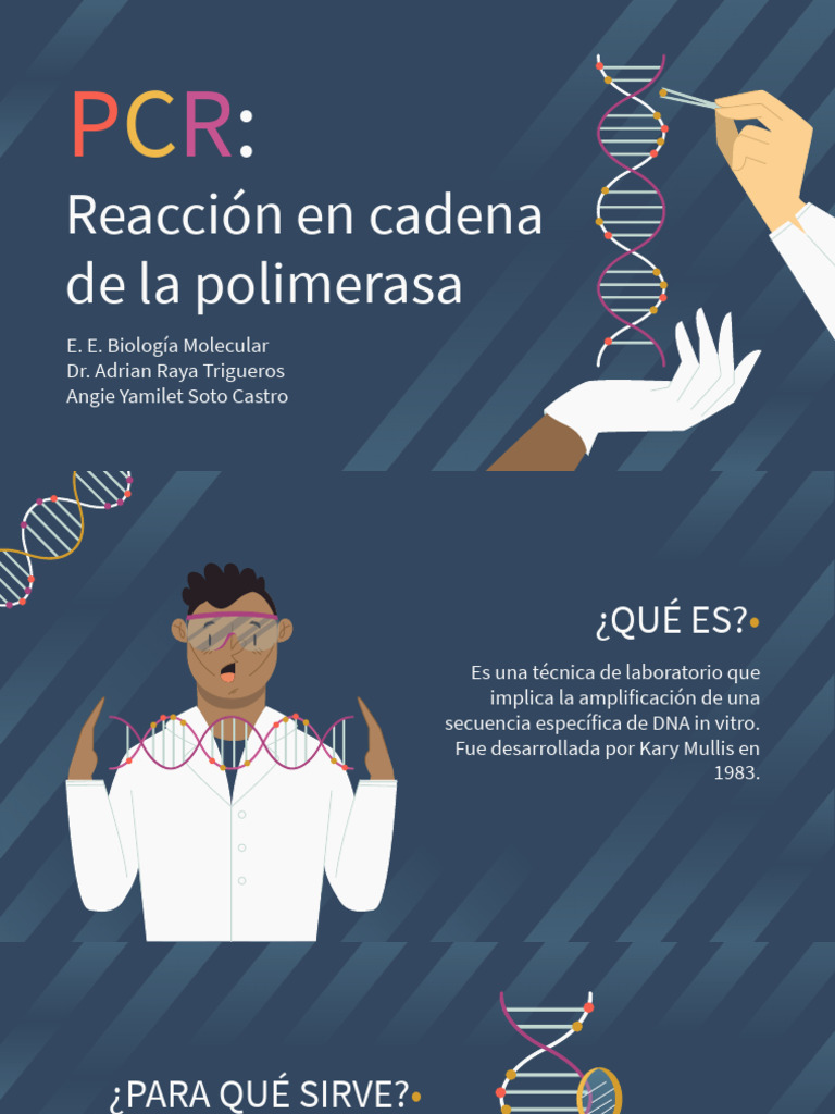 Presentación PCR | PDF | Reacción en cadena de la polimerasa | Adn