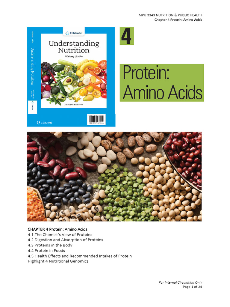 Protein-Amino Acids | PDF | Proteins | Amino Acid