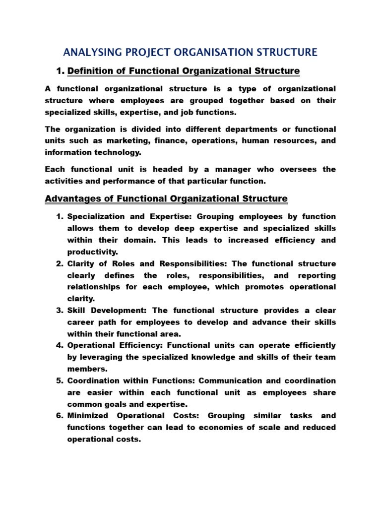 Analysing Project Organisation Structure | PDF | Organizational ...