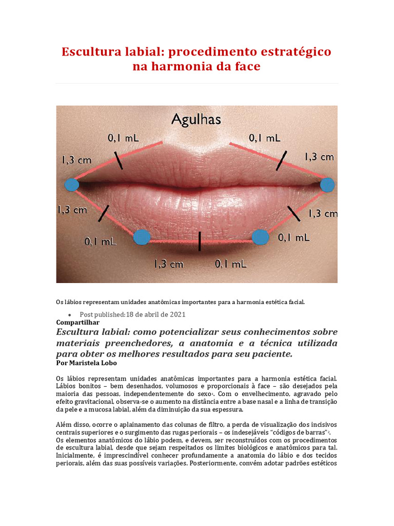 ESCULTURA LABIAL | PDF | Artéria | Anatomia