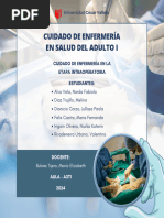 Funciones de Enfermera Instrumentista y Circulante | PDF | Cirugía | Enfermería