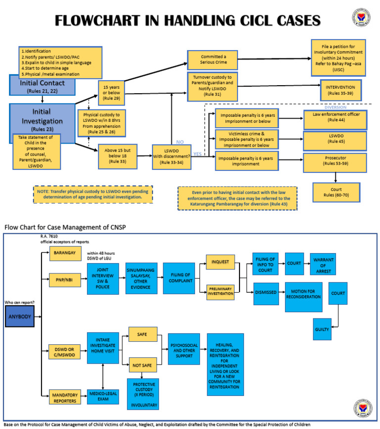 Localized Flow Chart of Referral System 1 | PDF | Arrest | Crime & Violence