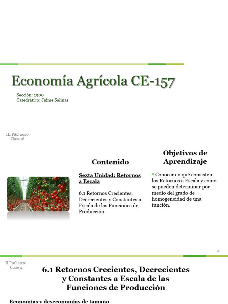 EA Clases 18 | PDF | Función de producción | Economias