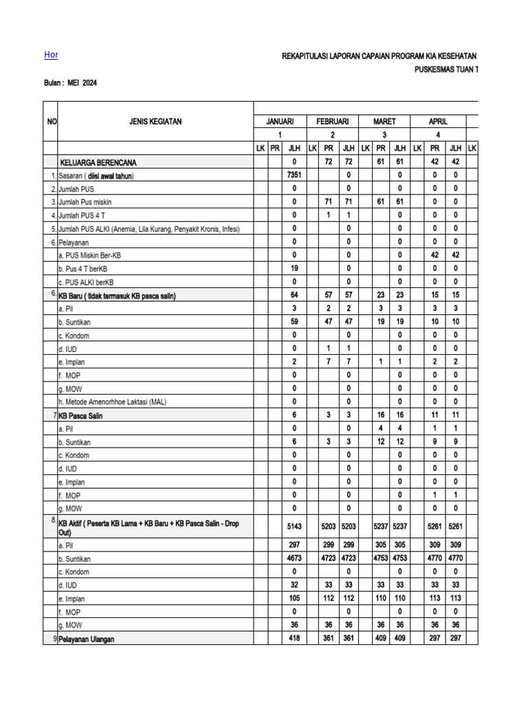 Laporan Bulanan KB MEI 2024 (1) | PDF
