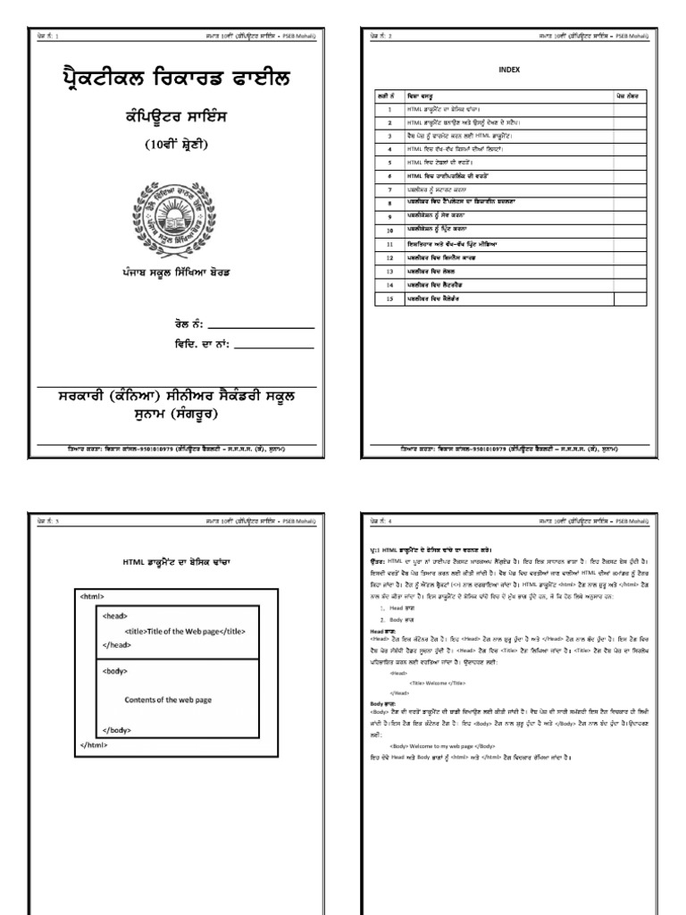 10th Practical File-Printable | PDF | Html | Software