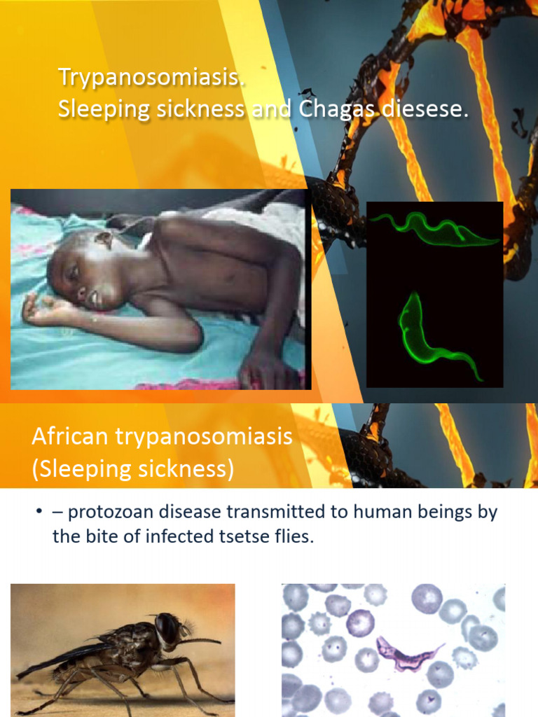 Trypanosomiasis.-Sleeping Sickness and Chagas Diesese. | PDF | Medical Specialties | Clinical ...