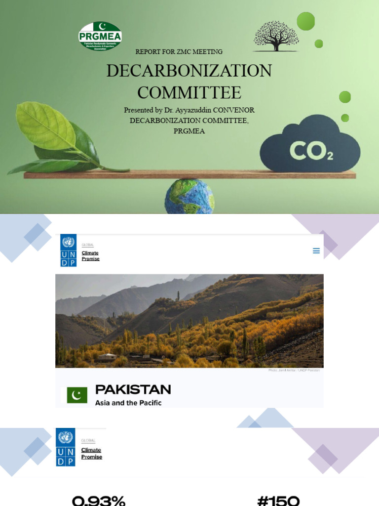 Decarbonization Committee | PDF | Climate Change Mitigation ...