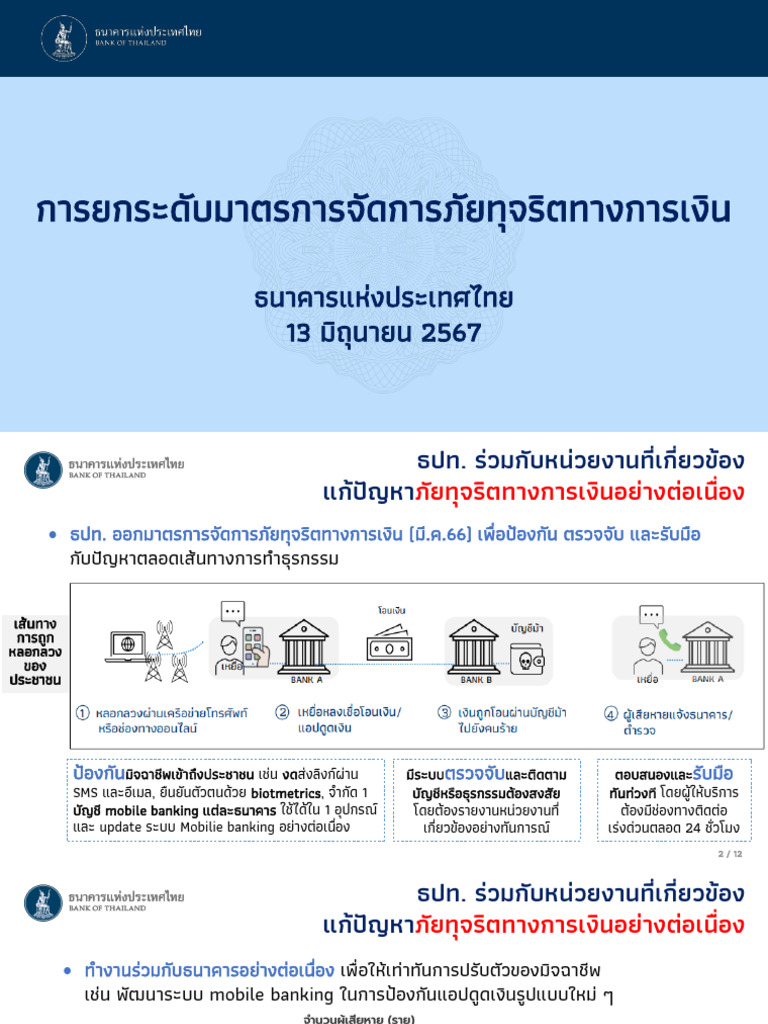 20240613- BOT จัดการบัญชีม้า | PDF
