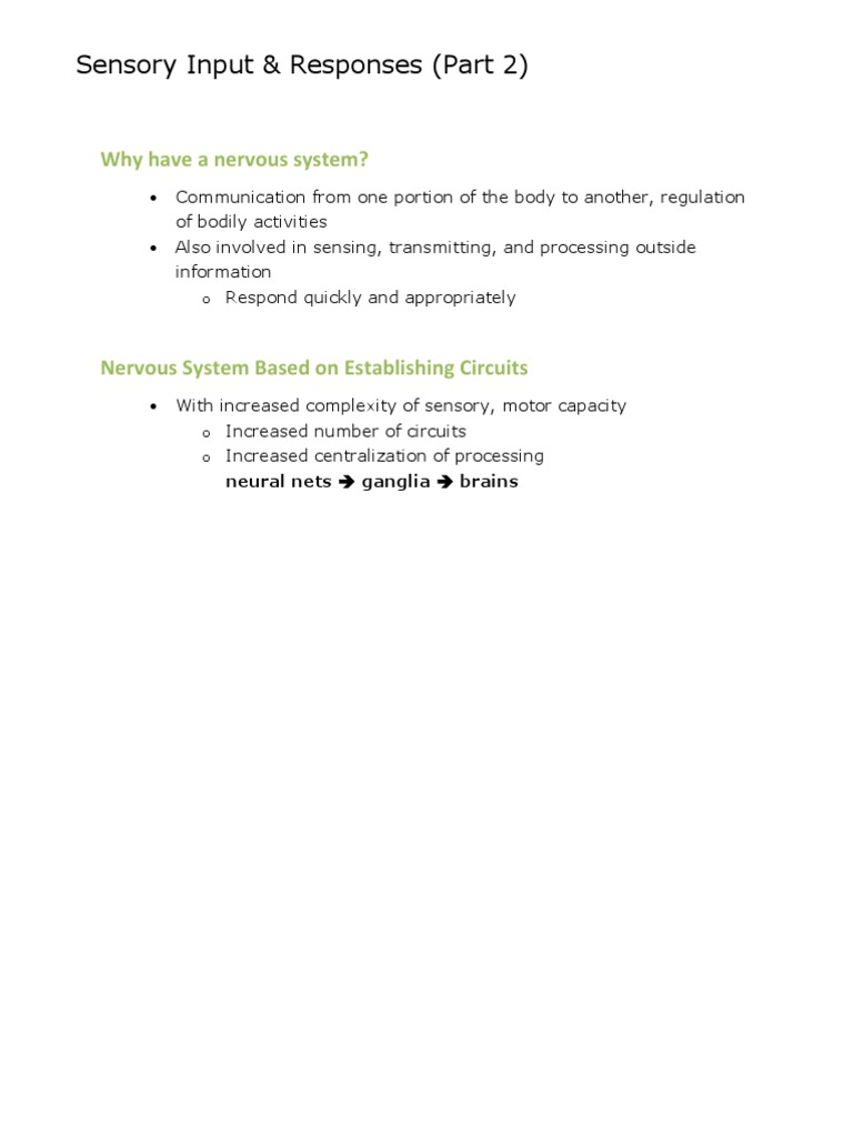 Sensory Input and Responses (Part 2) | PDF | Wellness