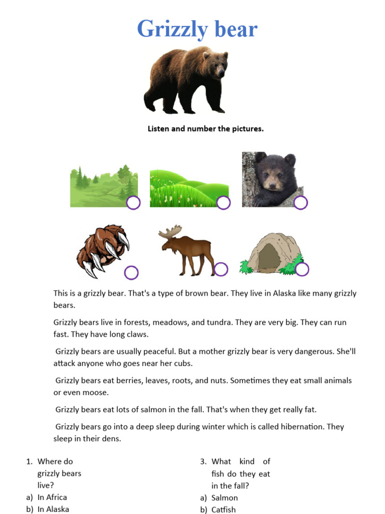 Text For Reading Grizzly Bear | PDF | Home & Garden | Science & Mathematics