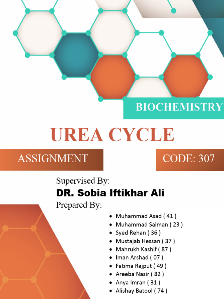 Assignment Urea Cycle | PDF | Citric Acid Cycle | Chemistry