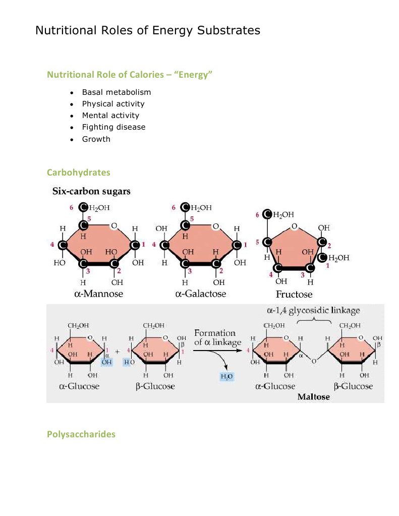 Nutritional Roles of Energy Substrates | PDF | Science & Mathematics