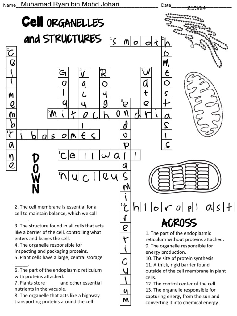 Crossword Cell Components | PDF