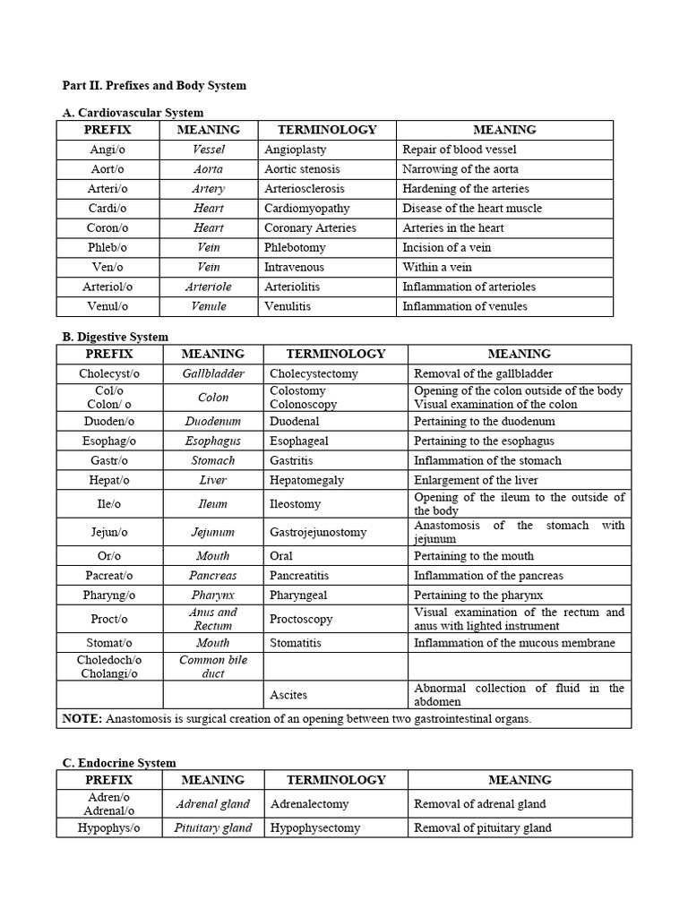 Part II. Prefixes and Body System | PDF | Lymphatic System | Organ ...