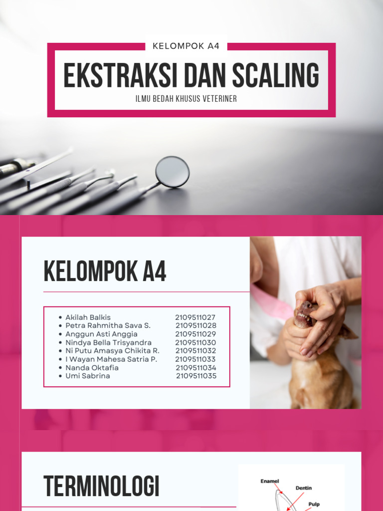 A4 - Ekstraksi Dan Scaling | PDF